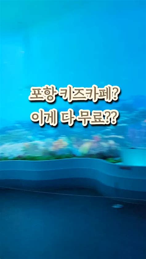 챈맘히야 • 네이버 인플루언서 두돌 셀프 스냅 첫번째 📷 직접 다이소 꽃으로 배경 만들고 꽃다발 만들어서 찍었어요 💐🌷 손꾸락 뿌라지는 줄 Instagram