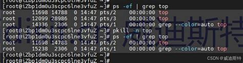 linux系统下的进程管理利器：pkill命令详解 csdn博客
