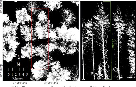 Figure 1 From An International Comparison Of Individual Tree Detection And Extraction Using