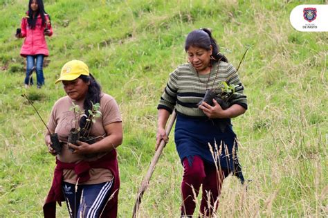 Siembra Masiva De Arboles En El Corregimiento De San Fernando Diario