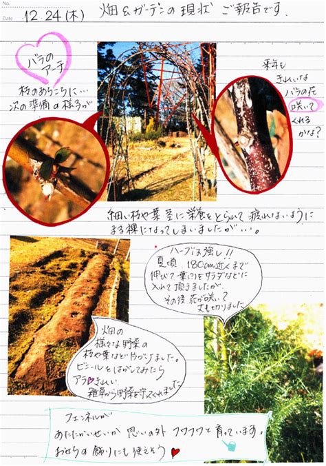 ウォッチン！田んぼ