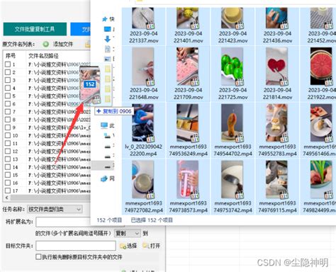 告别文件混乱!自动归类让您的视频文件管理更高效 Csdn博客 告别文件混乱!自动归类让您的视频文件管理更高效 Csdn博客