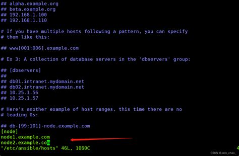 Ansible环境ansible Pip 安装的都是core Csdn博客