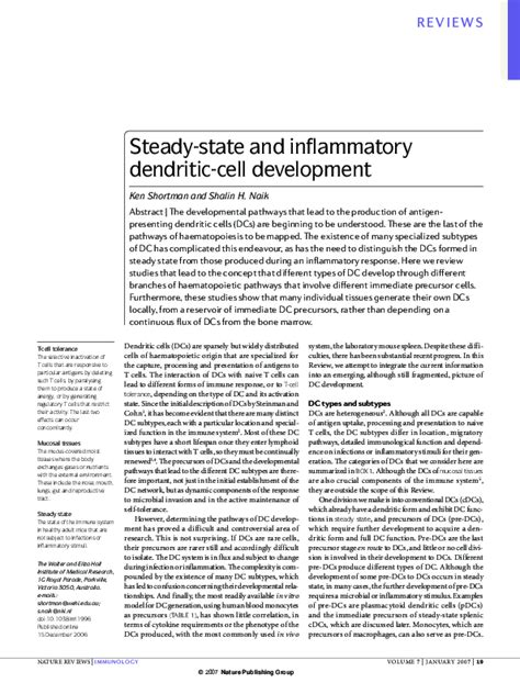 Pdf Steady State And Inflammatory Dendritic Cell Development