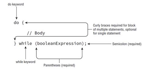 The While Statement The Do While Statement Java Sertifikat Qeydlərim