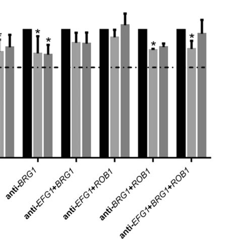 Antisense Oligomers Cytotoxicity Relative Cell Viability Download Scientific Diagram