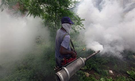 A Dengue Vaccine Falls Short Of Expectations The New York Times