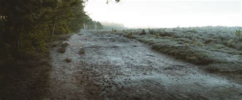 Plugins Myst Markdown