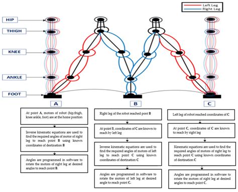block diagram explaining the implementation of walking algorithm for download scientific