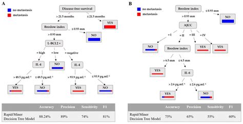 The Rapidminer Decision Tree Model Used To Predict The Development Of Download Scientific