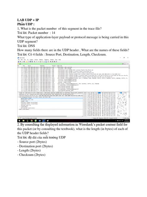 Lab 4 Udp Lab 5 Ip Pdf Internet Protocols Network Packet