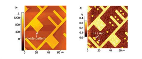 Surface Analysis Analysis Service Qrt Inc