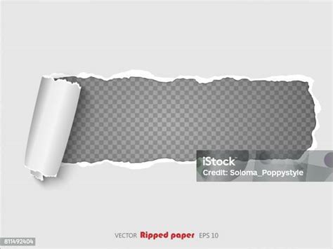 찢어진된 종이 시트 투명 한 배경에 고립 된 종이 가장자리를 찢 어 찢기에 대한 스톡 벡터 아트 및 기타 이미지 찢기 페이지 책 투명 배경 Istock