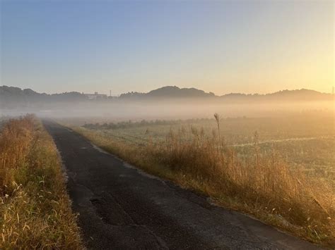 Perception Ml A Resource For Computer Perception Machine Learning And Software Development