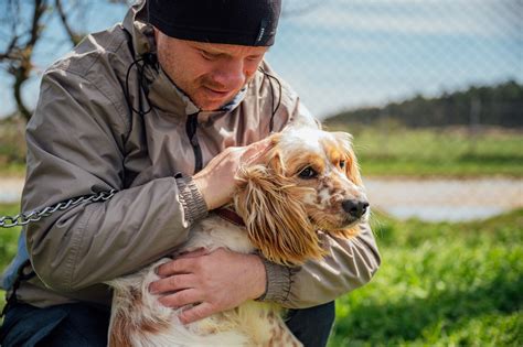 Доброволци към Общински приют за безстопанствени кучета Каменар Варна Сестричката му ще