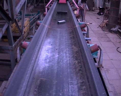 Mycoal Object Detection Dataset By Bailin Tian