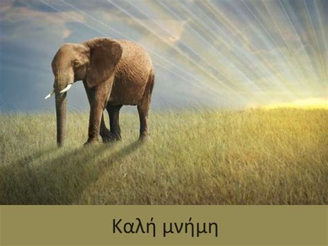 μάθημα 3 Why Learn Programming Ppt