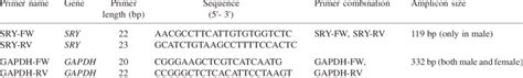 The Information On The Four Primers Used For Sexing Of Meat Download Table