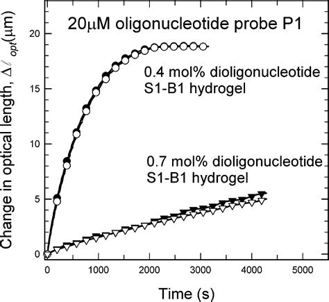 Oligonucleotide Probe