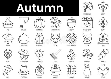 Set Of Outline Autumn Icons Minimalist Thin Linear Web Icon Set Stock Vector Illustration Of