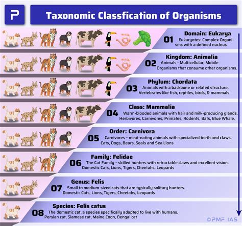Pmf Ias On Instagram Taxonomic Classification Of Organisms Read More