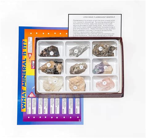 Scott Resources 2385 Long Wave Fluorescent Minerals 9 Specimens Toys And Games