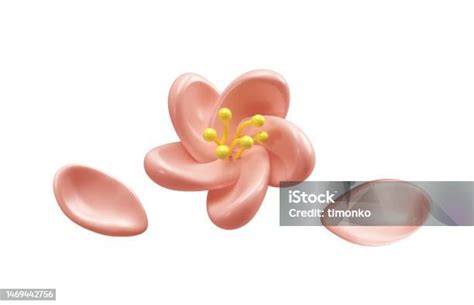벚꽃 사쿠라 이모티콘 그림 클리핑 경로가 있는 흰색 배경에 격리된 단순하고 귀여운 꽃잎 3d 그림 벚꽃에 대한 스톡 사진 및 기타 이미지 Istock