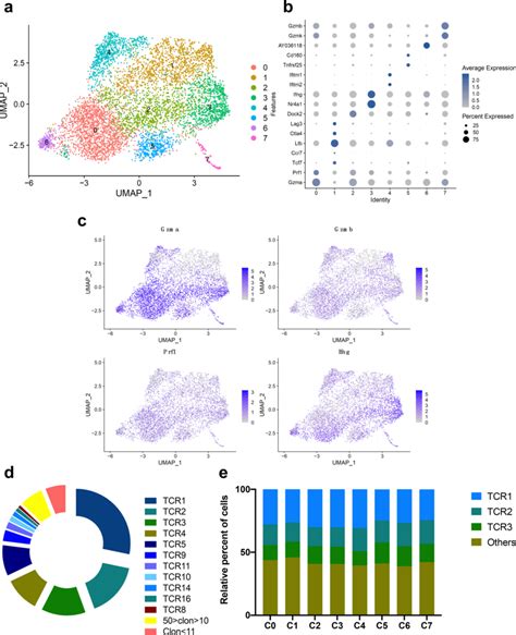 10× Single Cell Sequencing Analysis A B Dimensionality Reduction And Download Scientific