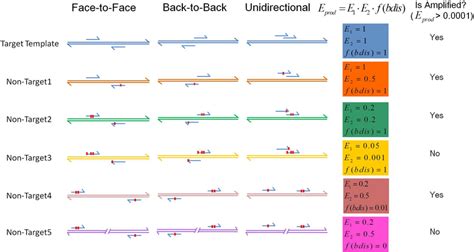Several Examples Of The Calculation Of Amplification Efficiency Of