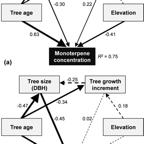 Structural Equation Models Relating Resin Monoterpene Concentration A