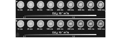 Calculated Adc Maps As A Function Of Diffusion Time For Axial A And Download Scientific