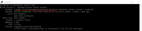 Manage Systemd Services With Systemctl On Ubuntu