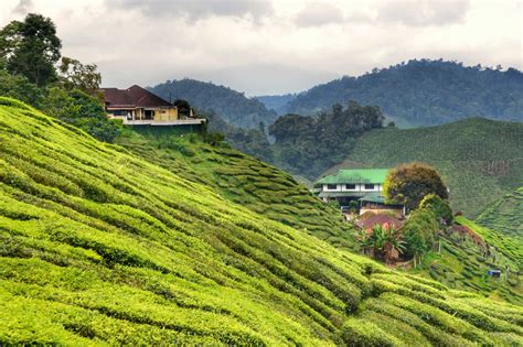 National Holidays In Pahang In 2021 Office Holidays