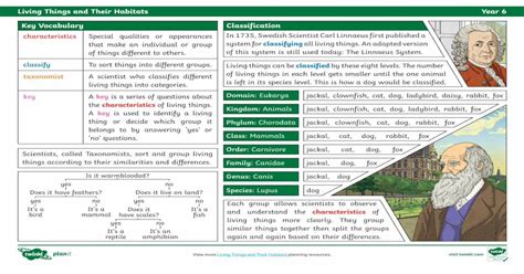 Pdf Key Vocabulary Classification Dokumentips