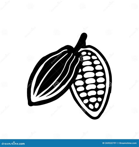 Cocoa Beans Sketch Vector Icon On White Stock Vector Illustration Of Label Nature