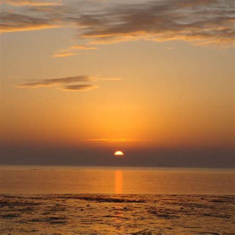 诱导多能干细胞的7大应用研究 组织 Hipsc Cm Ipscs