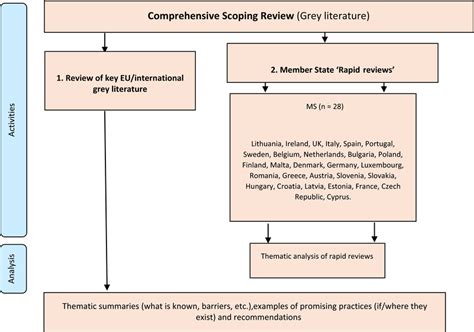 Overview Of The Comprehensive Scoping Review Csr Download Scientific Diagram