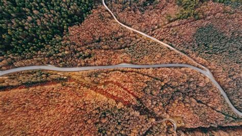 숲 한가운데의 구불구불한 길 사진 Unsplash의 배경 화면 이미지