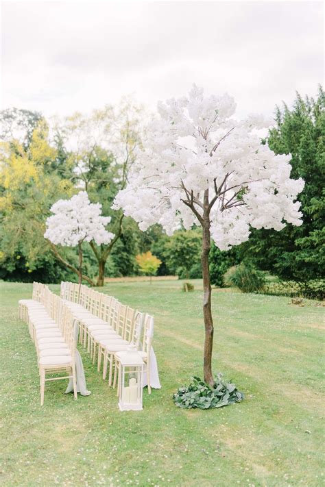 Statement Tree Hire For Wedding Event And Party — To Have And To Hire
