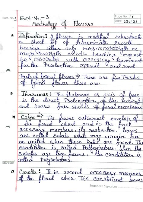 SOLUTION Biology Botany MORPHOLOGY OF FLOWER Studypool