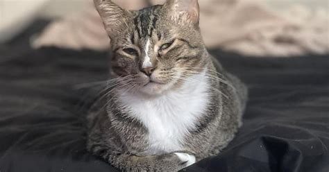 Chunks Album On Imgur