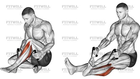 Posterior Tibialis Stretch Guide Techniques Benefits How To