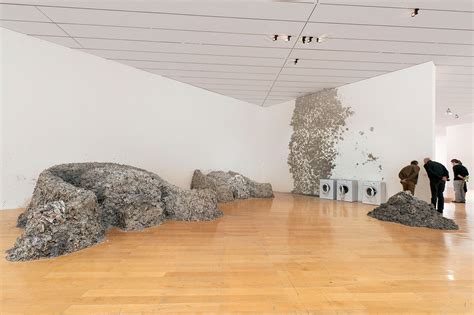 Huang Yong Ping Musée Dart Contemporain