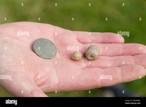 Lead And Pewter Finds After A Metal Detecting Session In A Field A Musket Ball And A Button In
