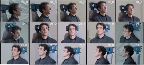 Montage Of All 15 Cameras Views In The Cmu Multi Pie Database Shown