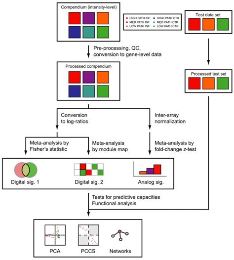 Meta Analysis Workflow Briefly The Compendium Was Assembled From Download Scientific Diagram