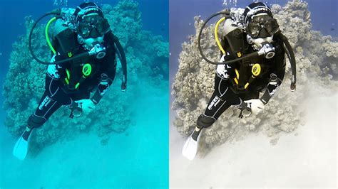 Underwater Video Color Correction At Imelda Metzger Blog