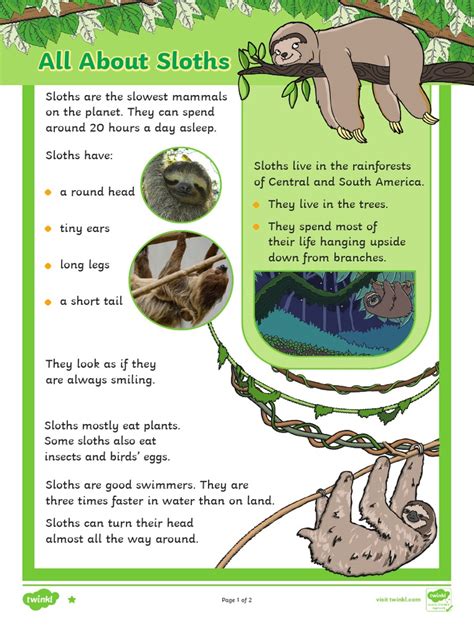 All About Sloths Reading Comprehension Pdf