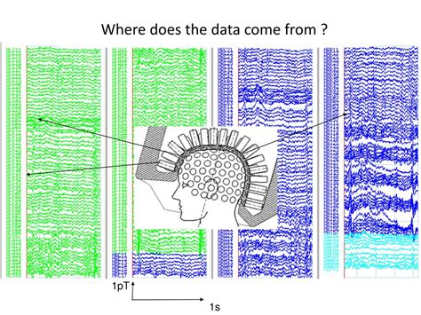 Ppt The Meeg Inverse Problem And Solutions Powerpoint Presentation Free Download Id2229313