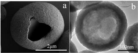 Mesoporous Hollow Spherical Titanium Dioxide And Preparation Method Thereof Eureka Patsnap